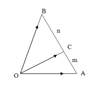 Rumus Pembagian Ruas Garis pada Vektor - madematika