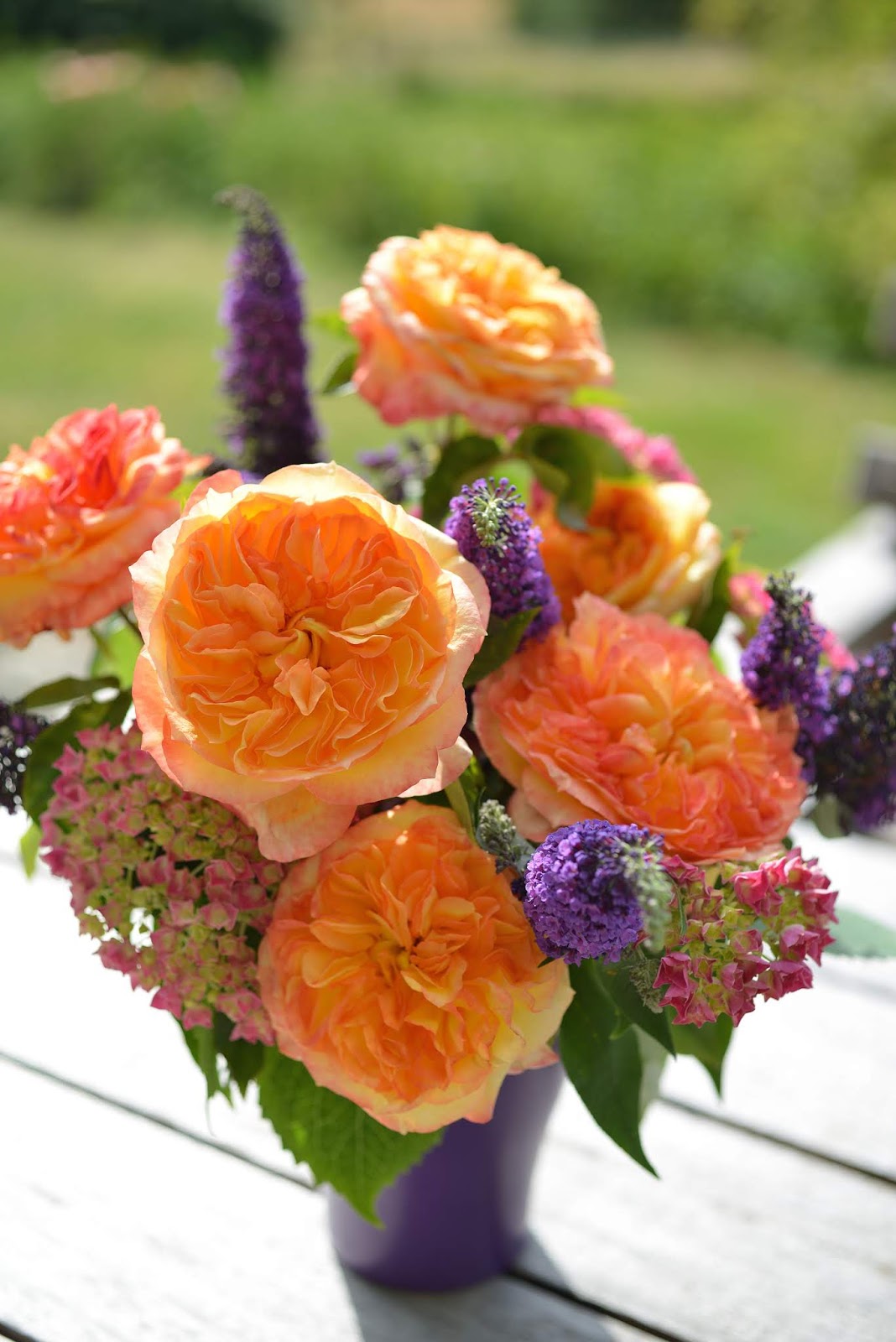 Les 2 nouvelles roses création Georges Delbard de 2018 - Les Carnets de ...