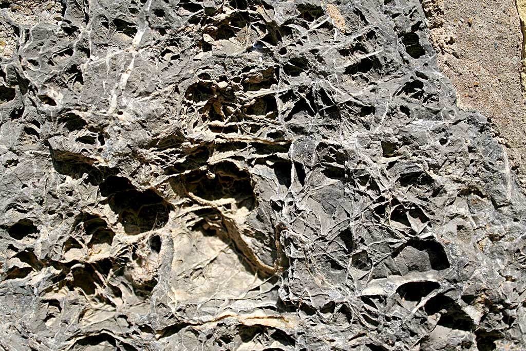 Louisville Fossils and Beyond: Fossils at San Gimignano Italy