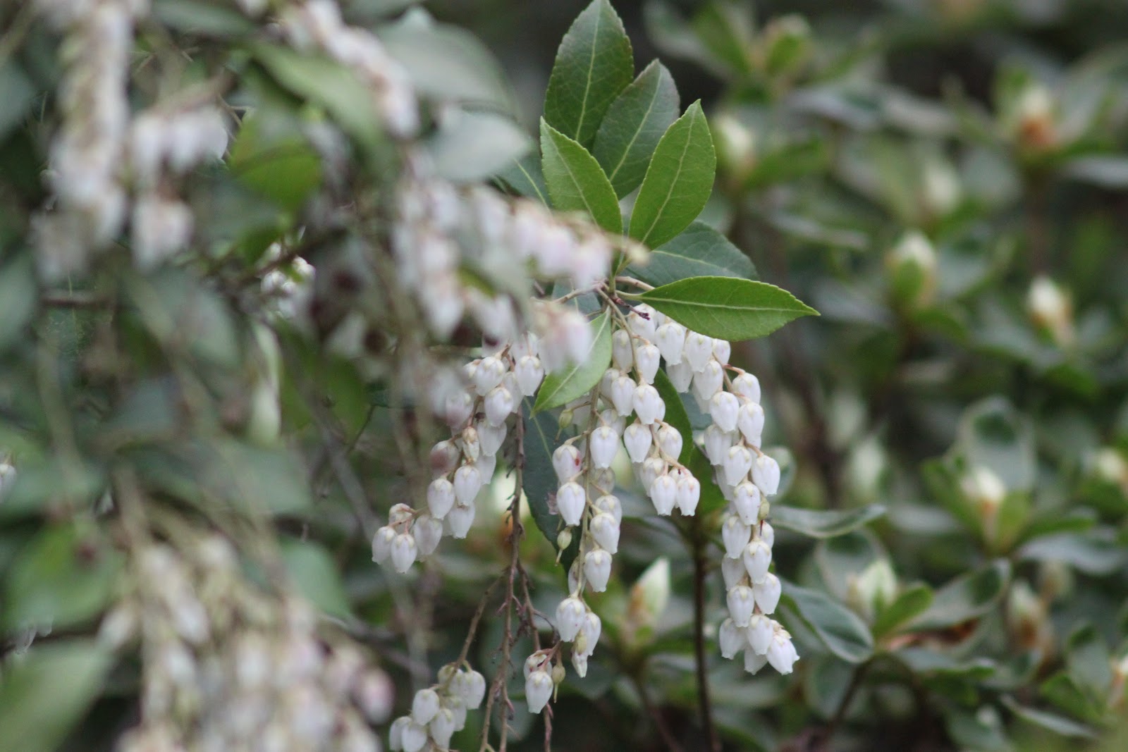 Pat's Addition: April 2012