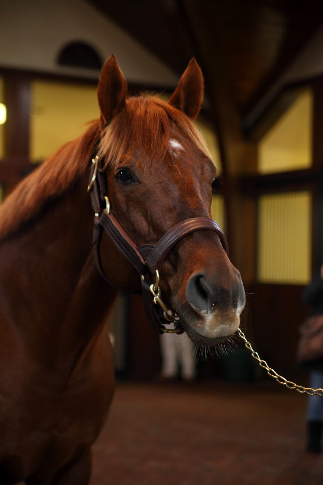 Past the Grandstand: One Loss Wonders