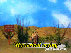 Creative Writing: Where Does Inspiration Come From? – UCWbLing