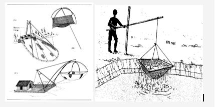 Alat Perangkap Ikan | Tips Peternakan, Budidaya, dan Pertanian