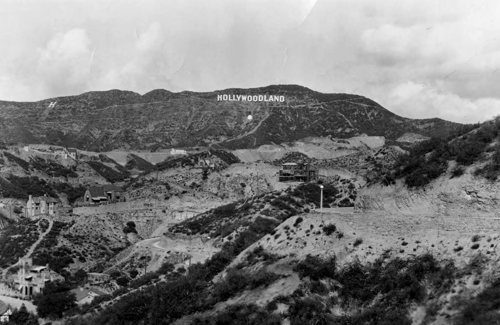 Forestdweller: Hollywood Hills