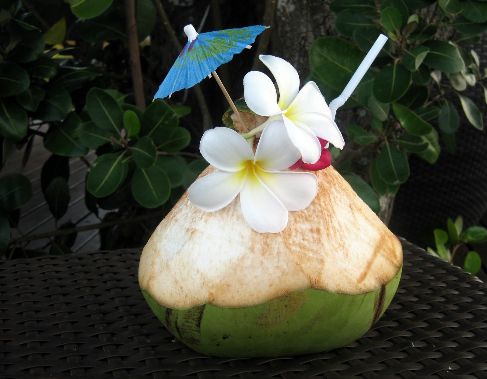 Turning Boholano: Kalachuchi