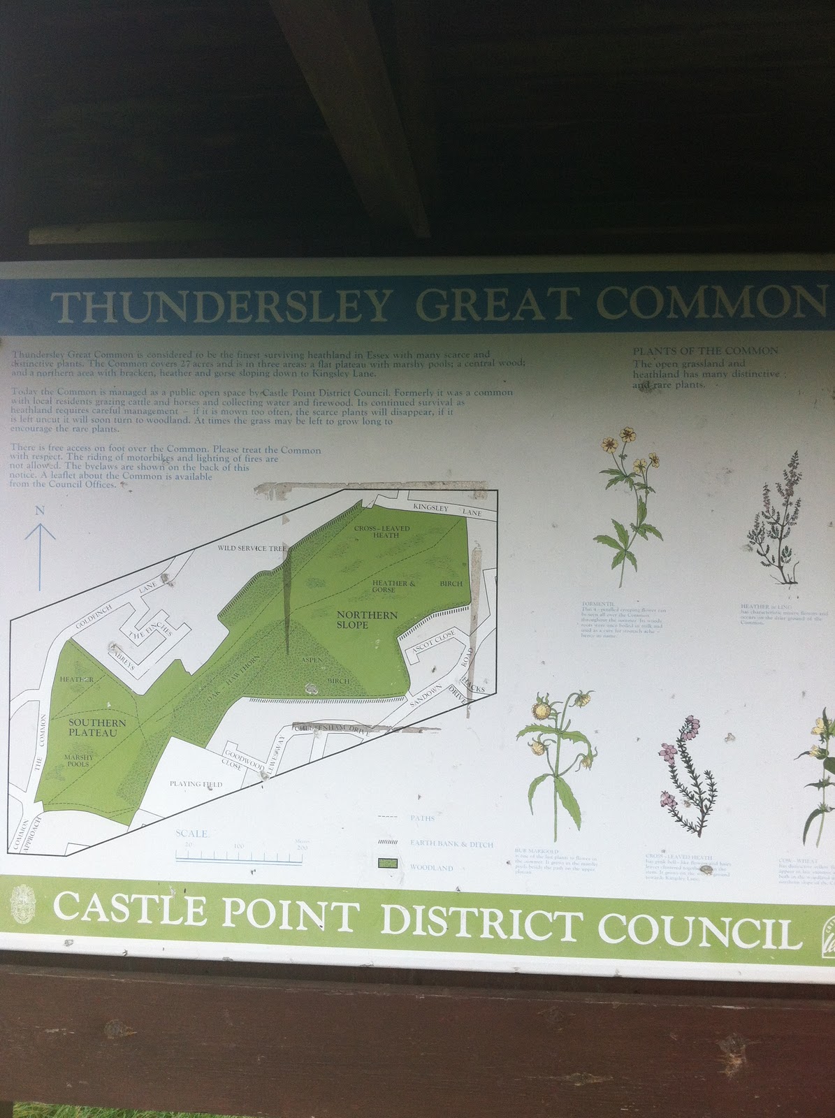 A Place for everything: A walk through Thundersley Village