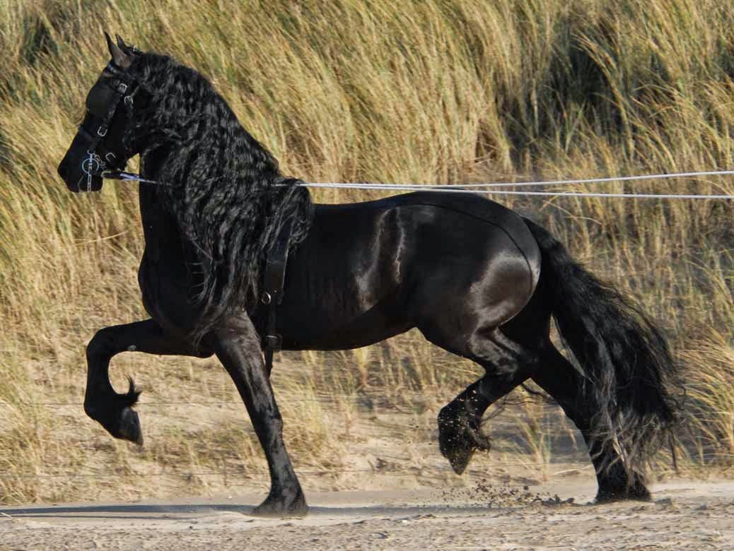 Skattkärrsskolans Skolnytt