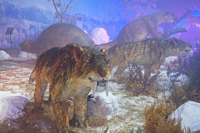 5 Little Angels: Kids Birthday Party at Ice Age Alive