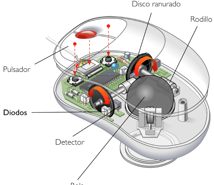 Little World: El ratón