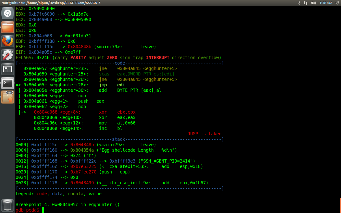Art of Shellcoding: Cracking Eggs with EggHunters - Nipun Jaswal's Official Blog