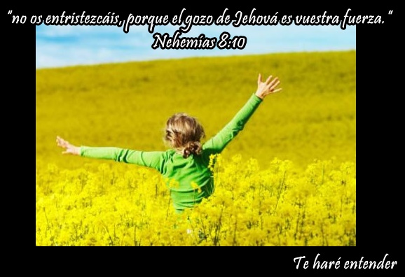 Te Haré Entender...: FRUTO DEL ESPÍRITU: EL GOZO
