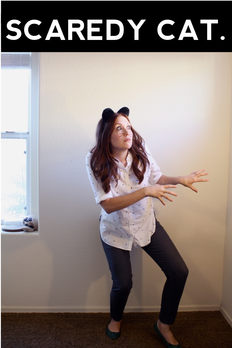 Jenny B: A useful list of "Last Minute Cat Puns Halloween Costumes"