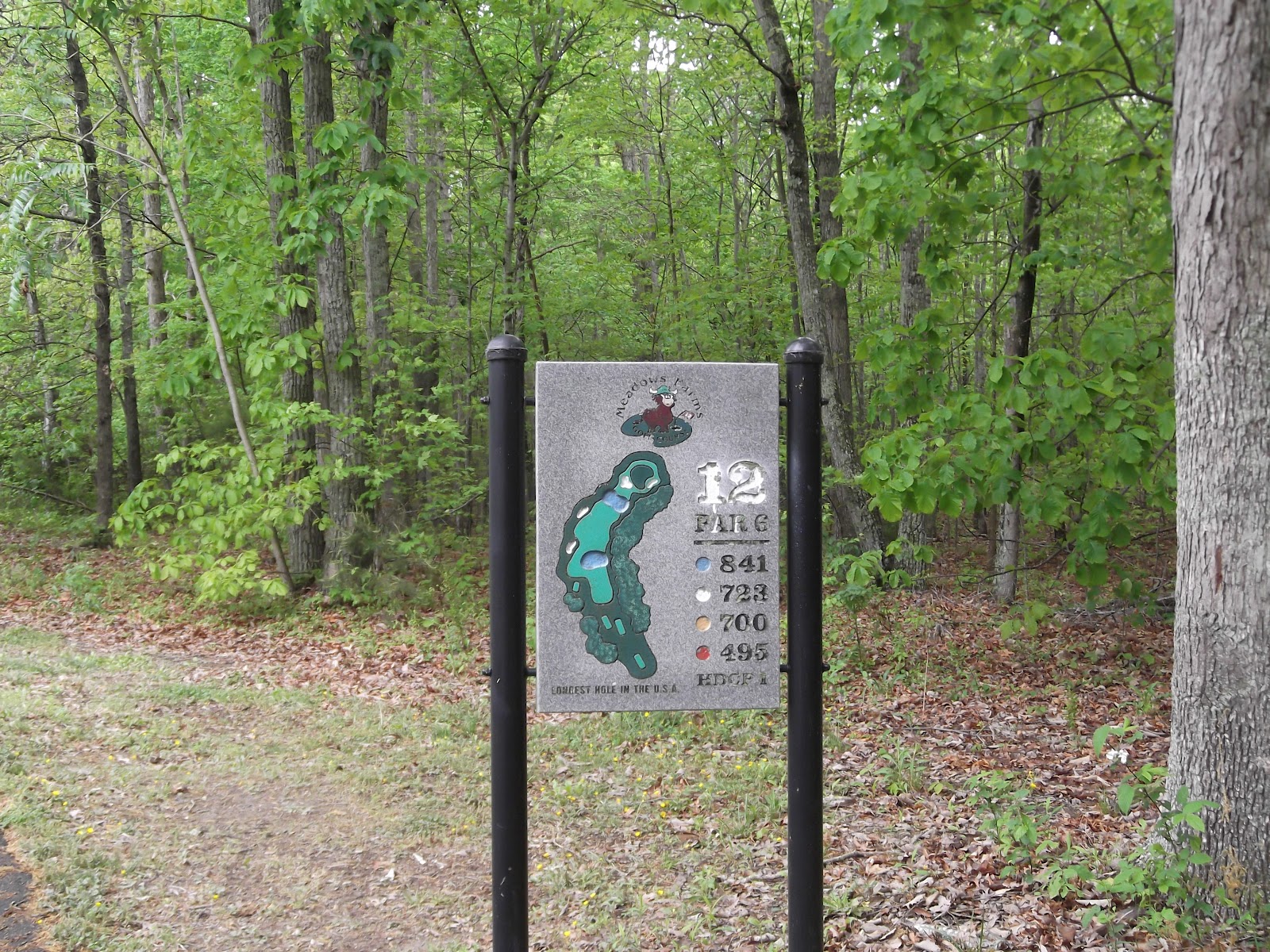 Women who Golf: Meadows Farms, Locust Grove, VA