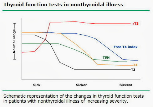 玄隆部落格: Thyroid function in nonthyroidal illness