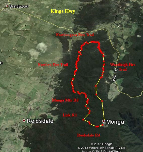 Foresters and above?