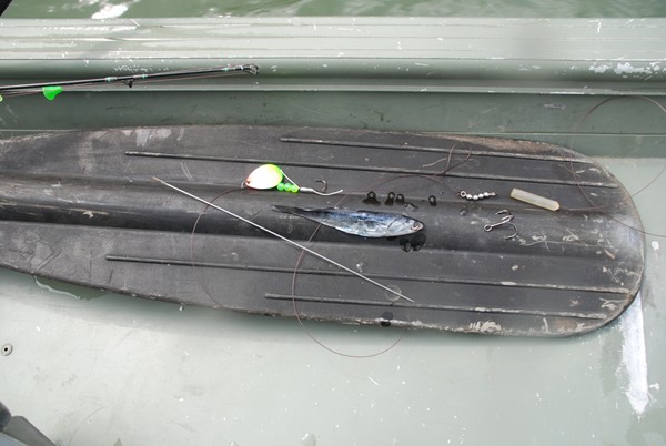 Dean Finnerty's Fishing and Hunting: Ultimate Spring Chinook Bait