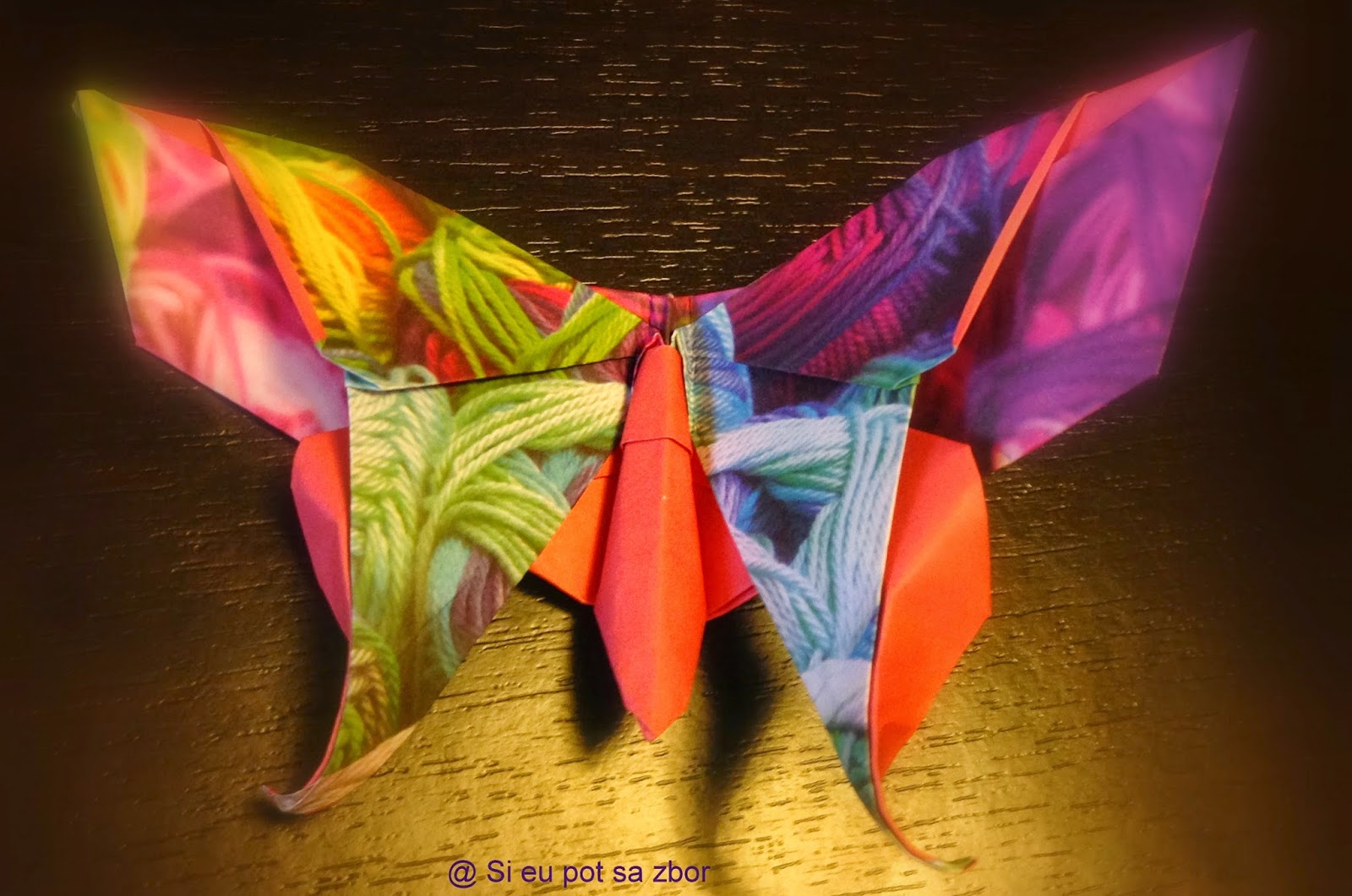 Si eu pot sa zbor: Fluturelui meu