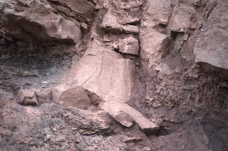 Joggins Fossil Cliffs: Dr. Martin Gibling reflects...