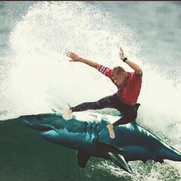 Los mejores memes del ataque de tiburón de Mick Fanning