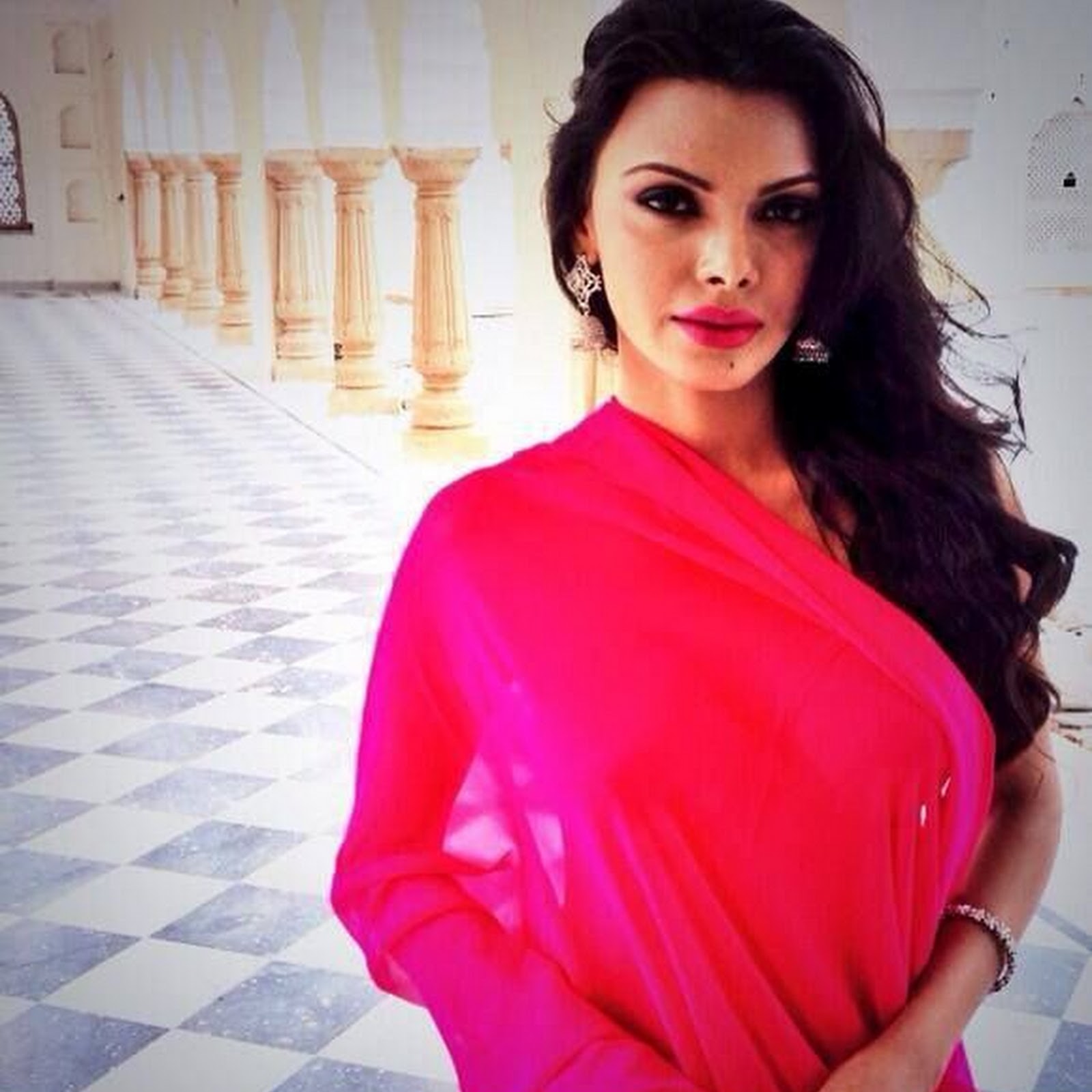 Sherlyn Chopra in a Beautiful Full Saree - Sareejem Actress Images
