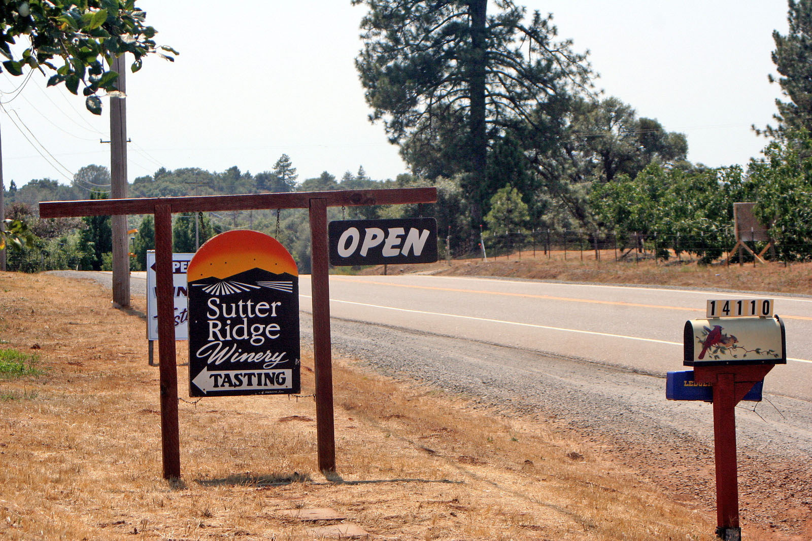 Western Sojourns: Travels with Camissonia: EASTERN & CENTRAL SIERRAS ...