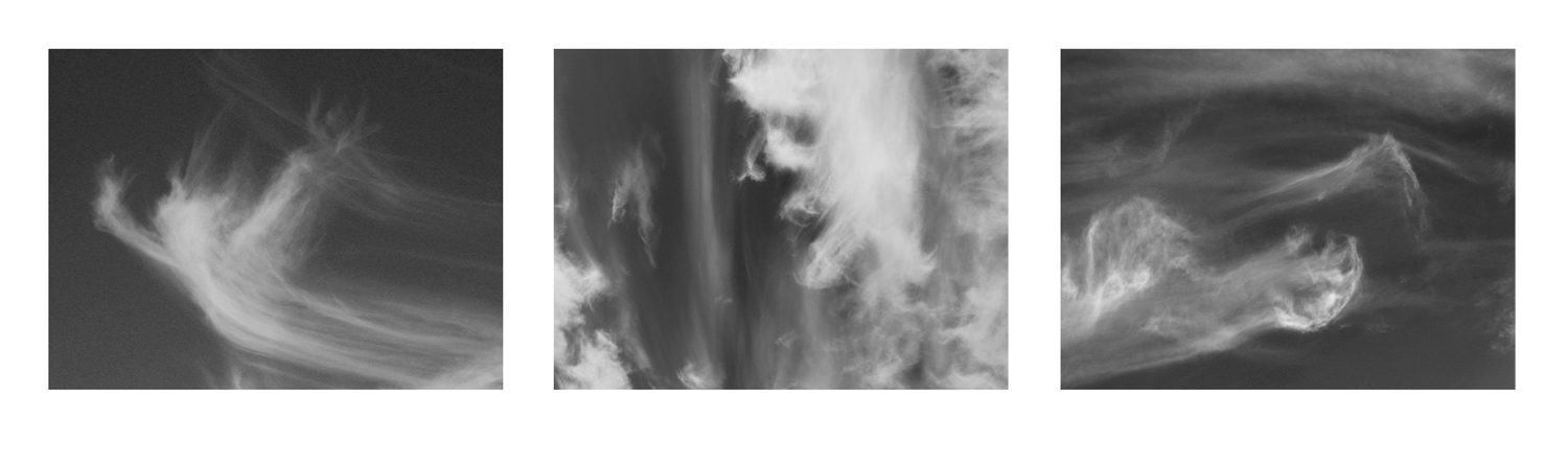 Advanced Photography Journal: Diptychs and Triptychs