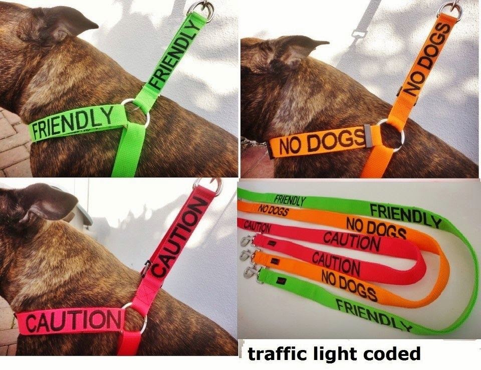 Gordon Setter Crossing: Traffic Light Coded Dog Collars