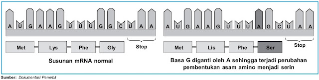 Pintar Pelajaran Pengertian Mutasi Gen Dan Kromosom Biologi, Penyebab ...