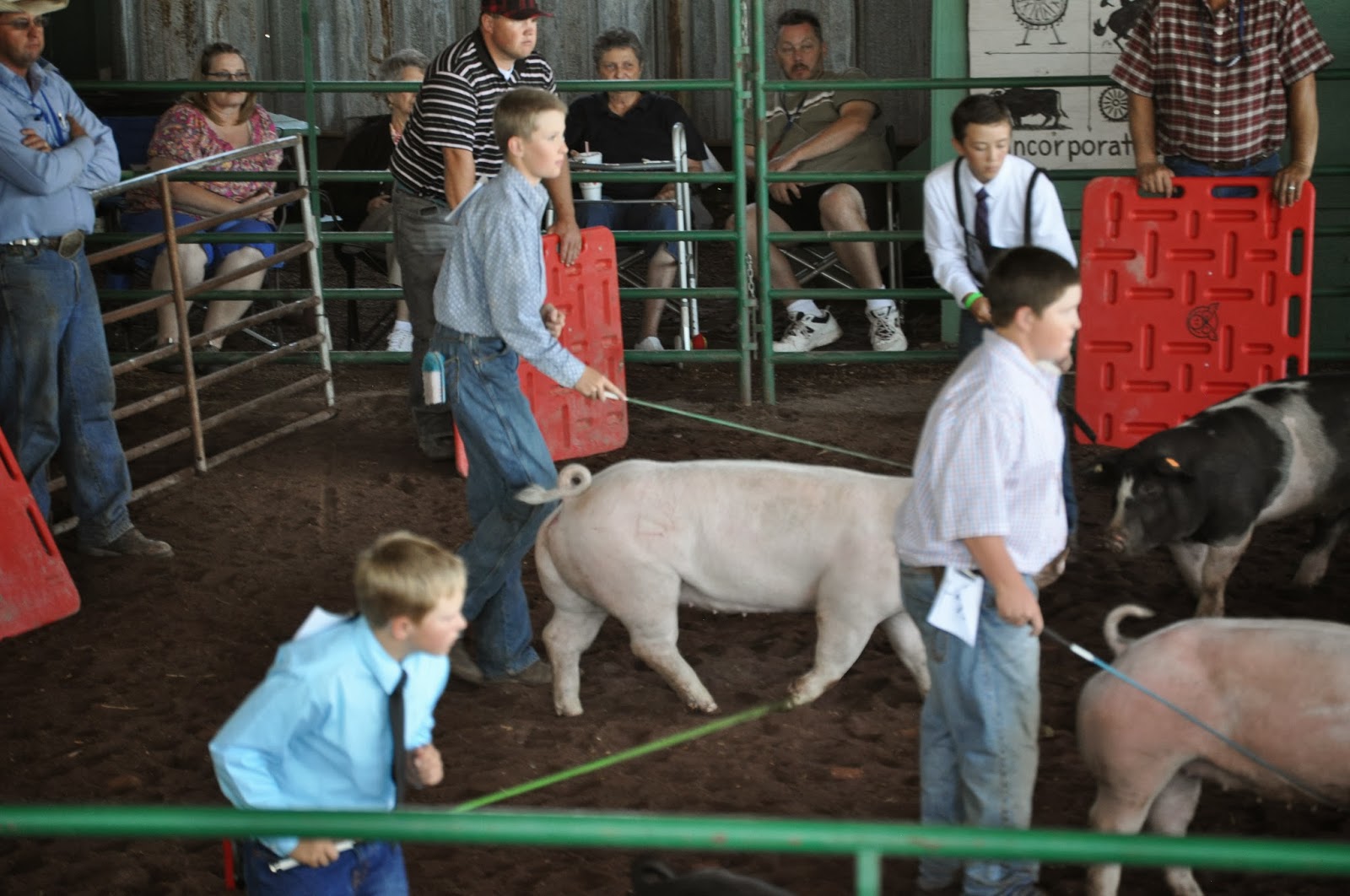Wranglers and Ribbons: The Pig Finale and 7 random Fair things