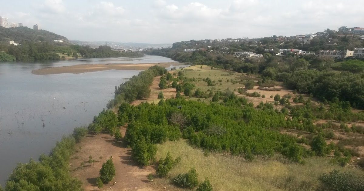 Umgeni Estuary Conservancy
