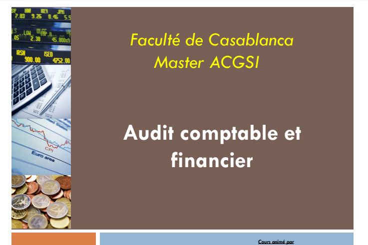 technique d'audit comptable et financier pdf