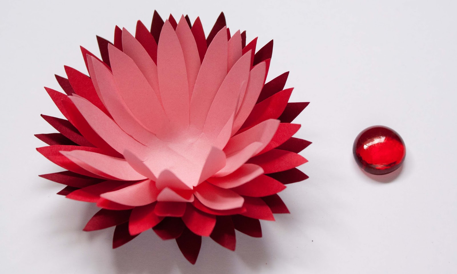 M double M: Ombre water lily paper flower (tutorial).
