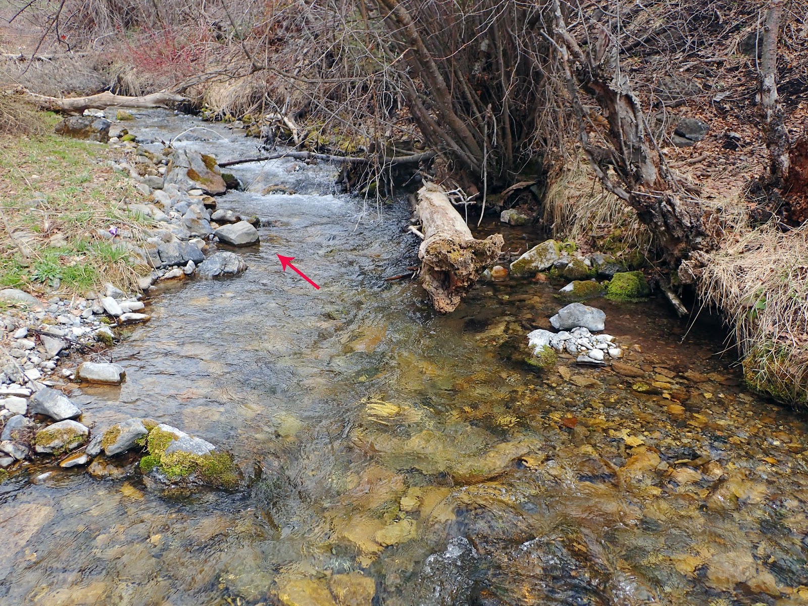 Teton Tenkara: Small Stream Tenkara - April 4, 2018