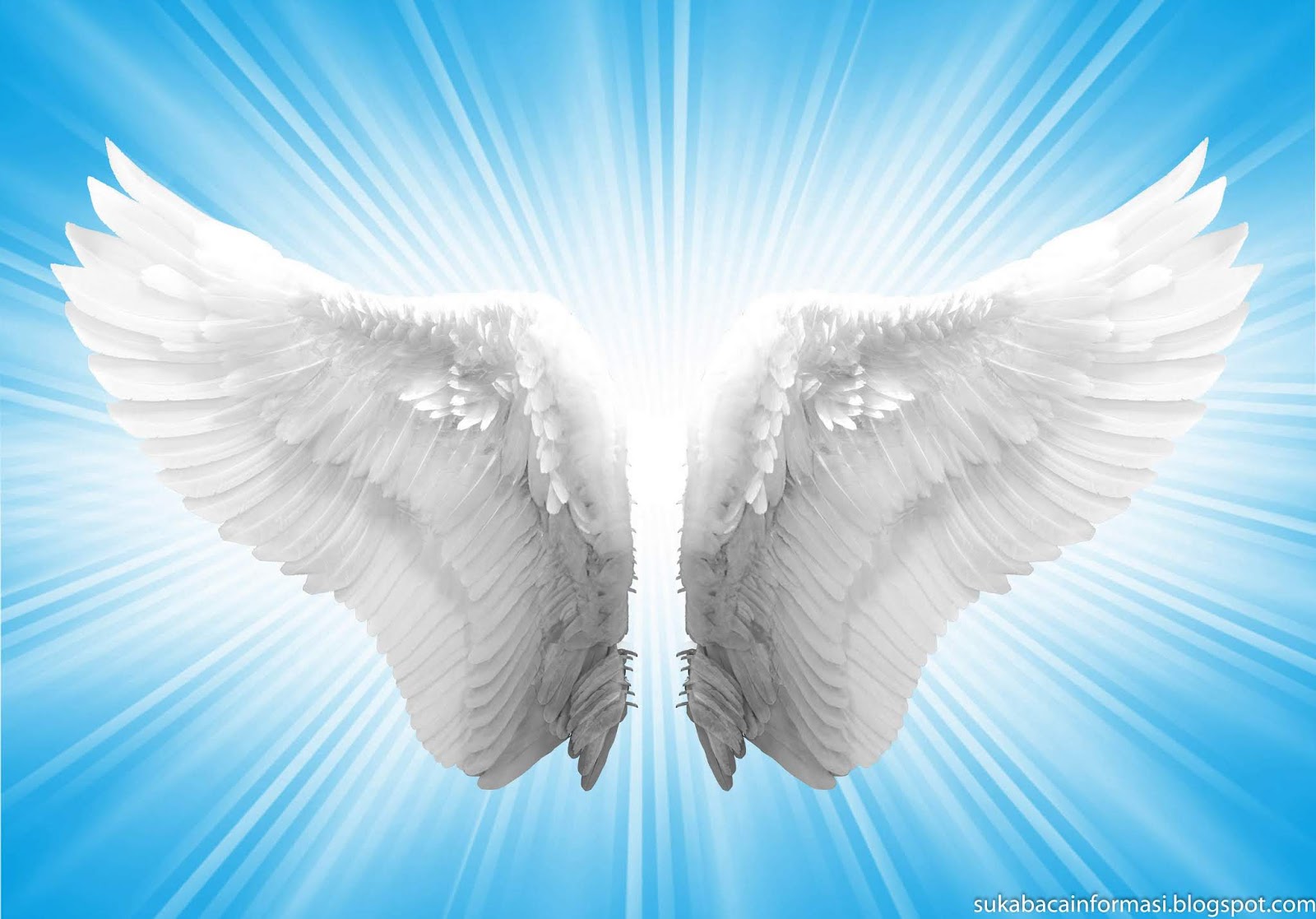 Gambar Gambar Sayap Malaikat