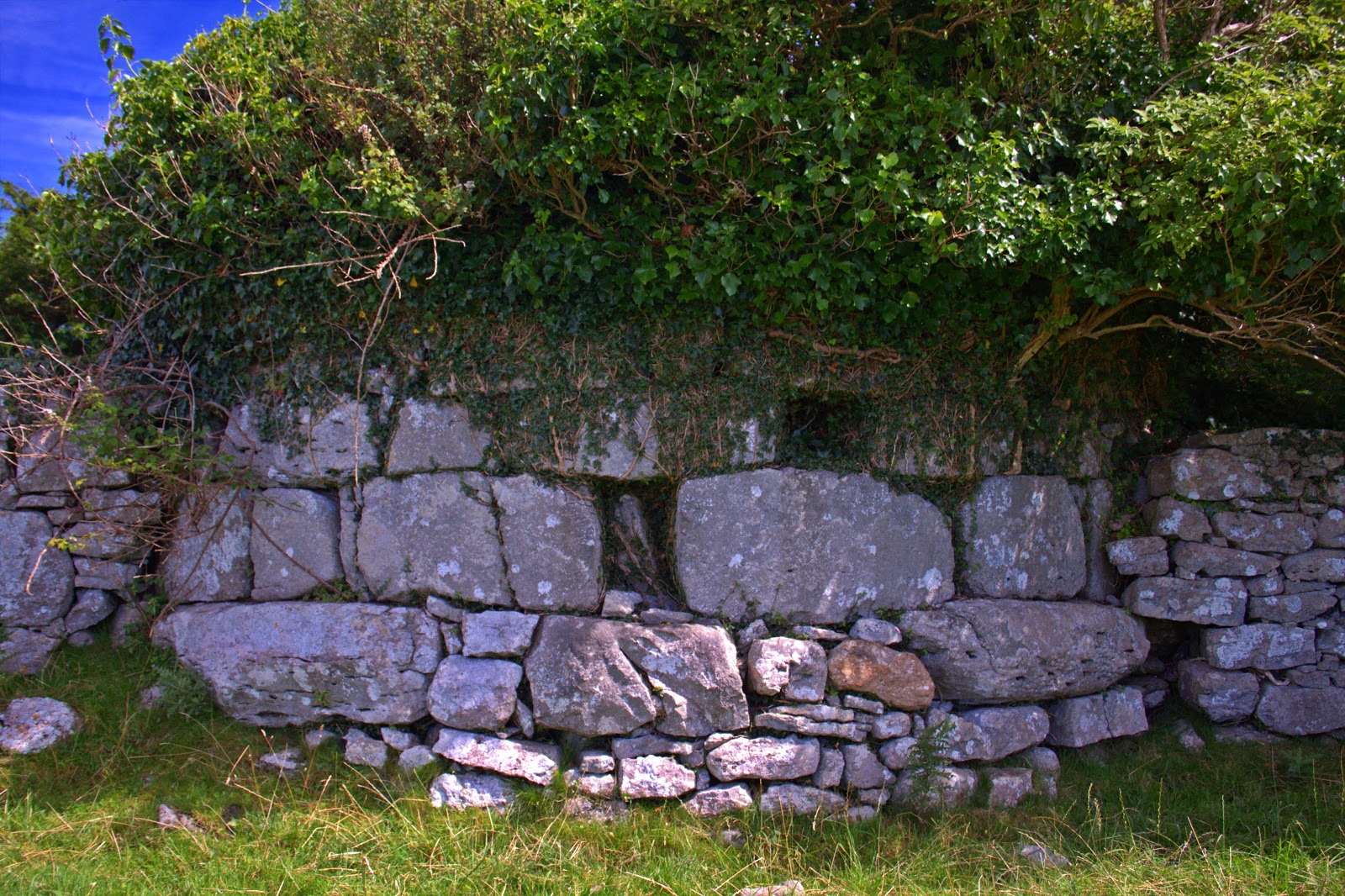 Historic Sites of Ireland: Ardrahan Round Tower