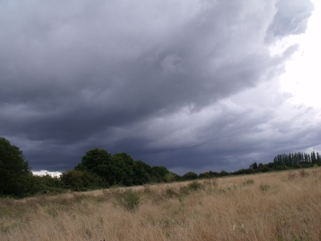Wild Treasures: Types of Clouds - Low Level Cloud Types
