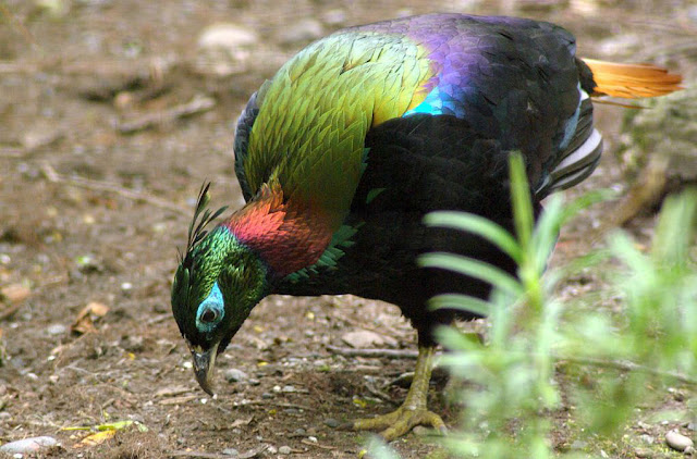 SHARE TWEET TELEGRAM WHATSAPP PIN IT SHARE