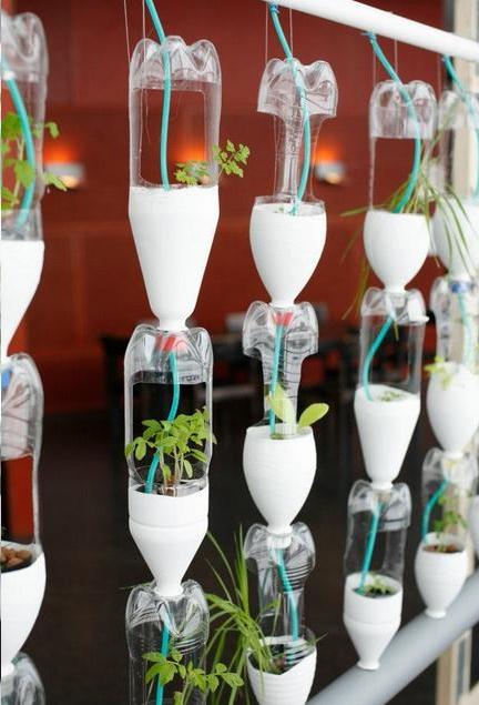 Plastic Bottles Upcycle Amazing Ways - Nazje Blog