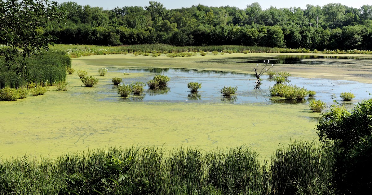 LSquared Imaging: Watershed Nature Center - Panorama