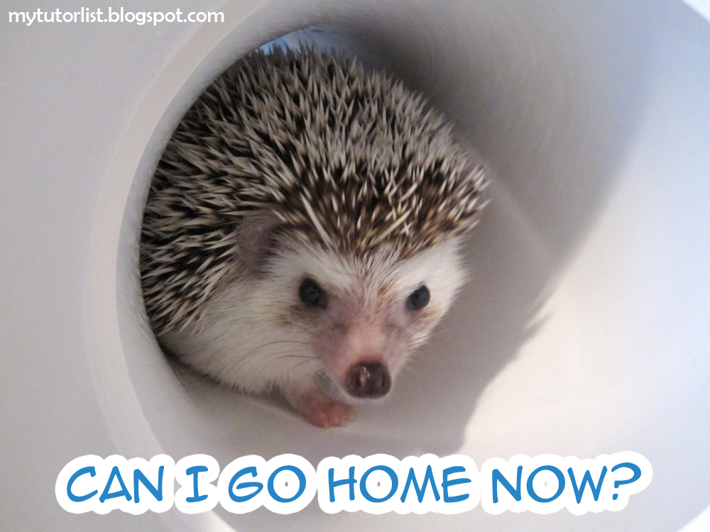 Behind Mytutorlist.com: July 2012