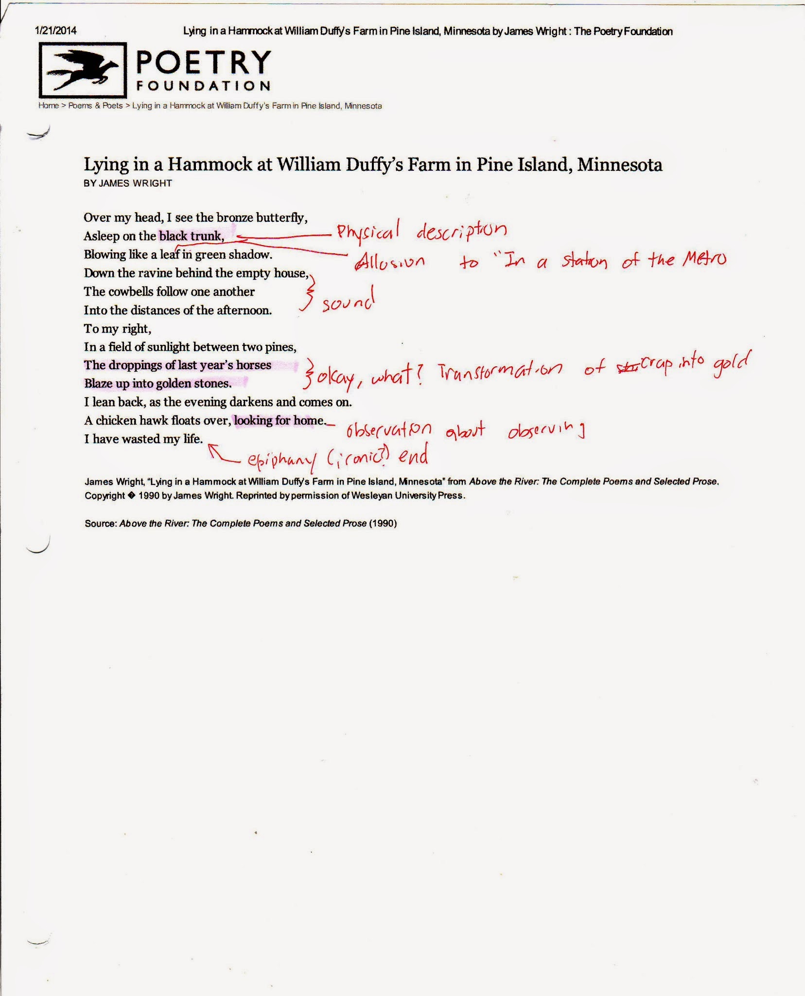 Analysis of "Lying in a Hammock at William Duffy's Farm in Pine Island ...