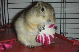 images%25255B1%25255D%5B1%5D