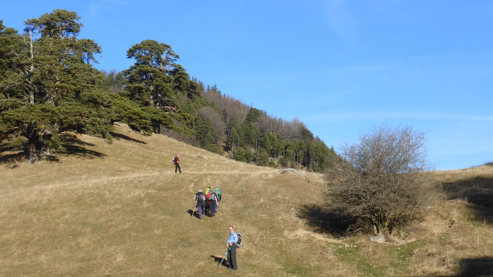 Pfannenstiel Wanderblog: Zum Regitzer Spitz am Fläscher Berg (Rundwanderung ab Fläsch GR)