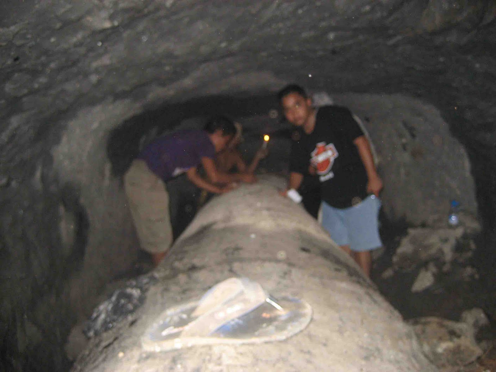Fossil Wood indonesia: Digging Out Petrified Wood Process
