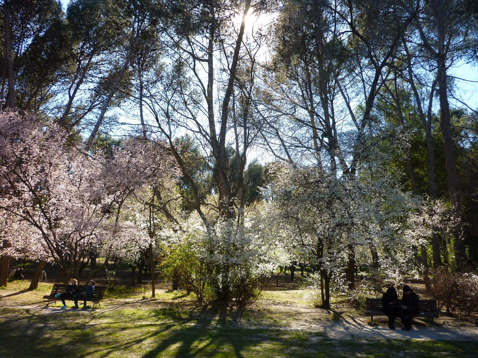 Xq Me Lo Merezco: La Quinta de Los Molinos. Un parque con un encanto ...