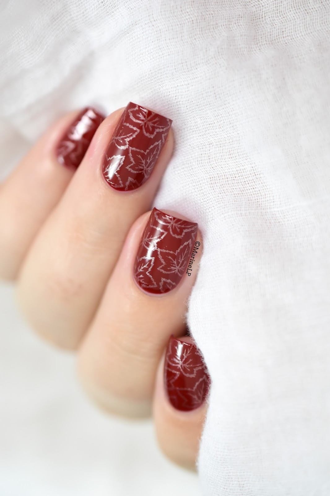 Balade d'Automne avec Pierre Ricaud