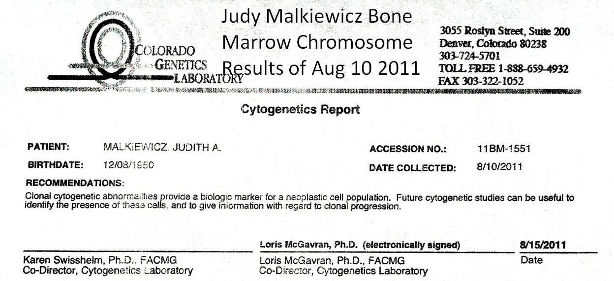 jm's Adventure with Multiple Myeloma: Bone Marrow Biopsy of August 10 ...