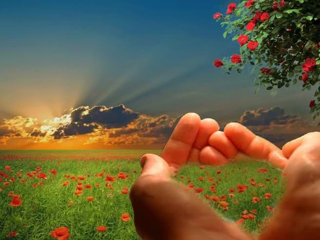 In mainile noastre se afla multa energie? - VRS 47 - Lumea lui VRS este ...