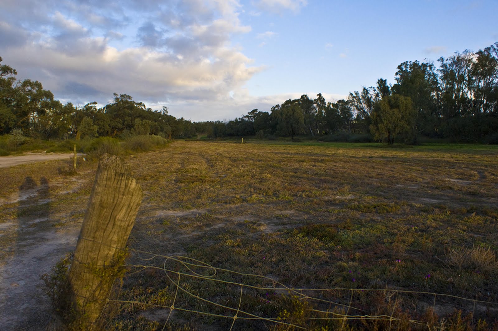 BigRedBusTouringCo.com: New Residence - A Trip Down Memory Lane