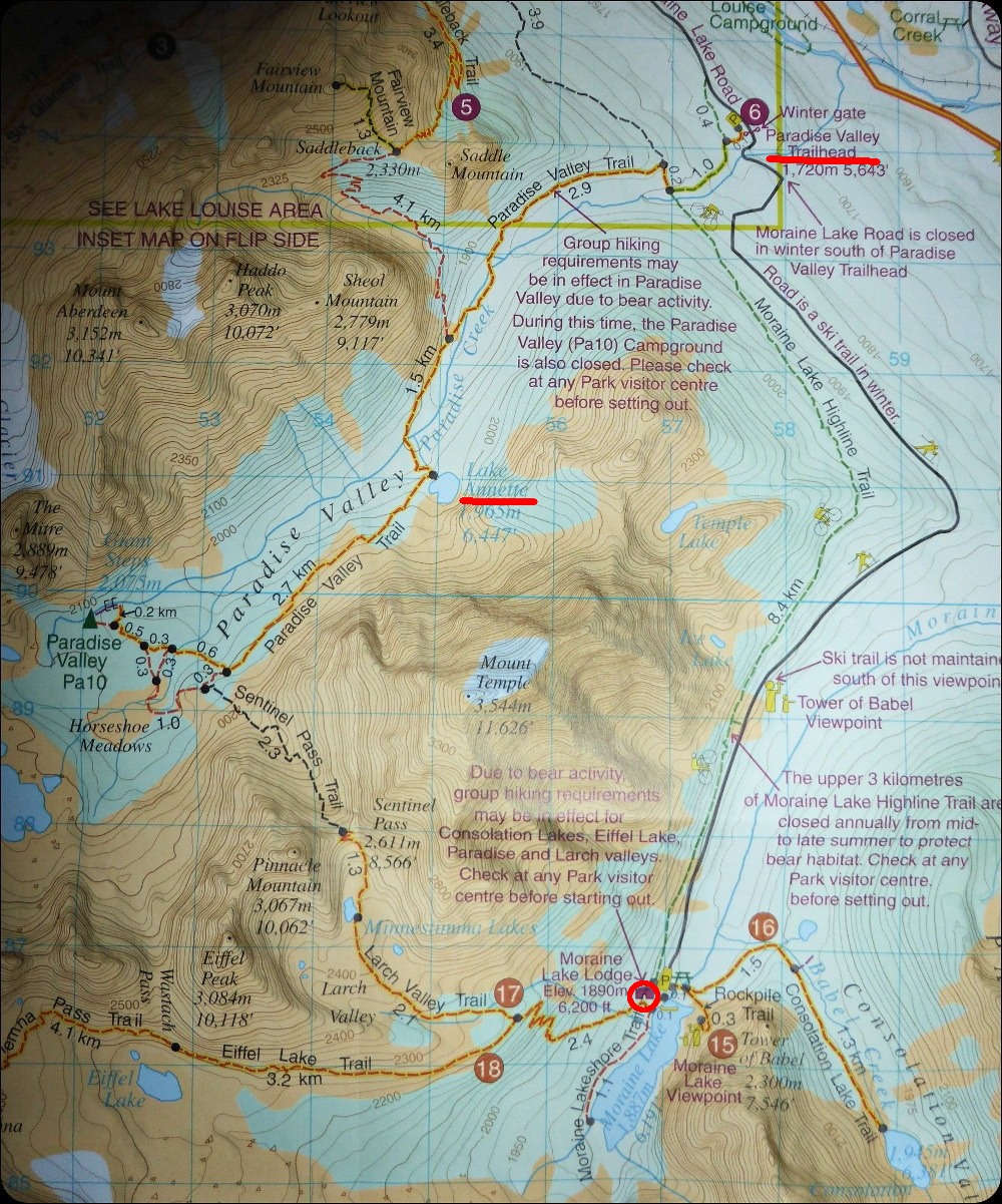 Another Side of this Life: On the 10th Day of Hiking (Paradise Valley ...